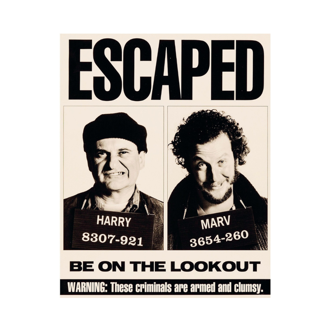 Home Alone Wet Bandits Sticker – NH Vintage Vinyl